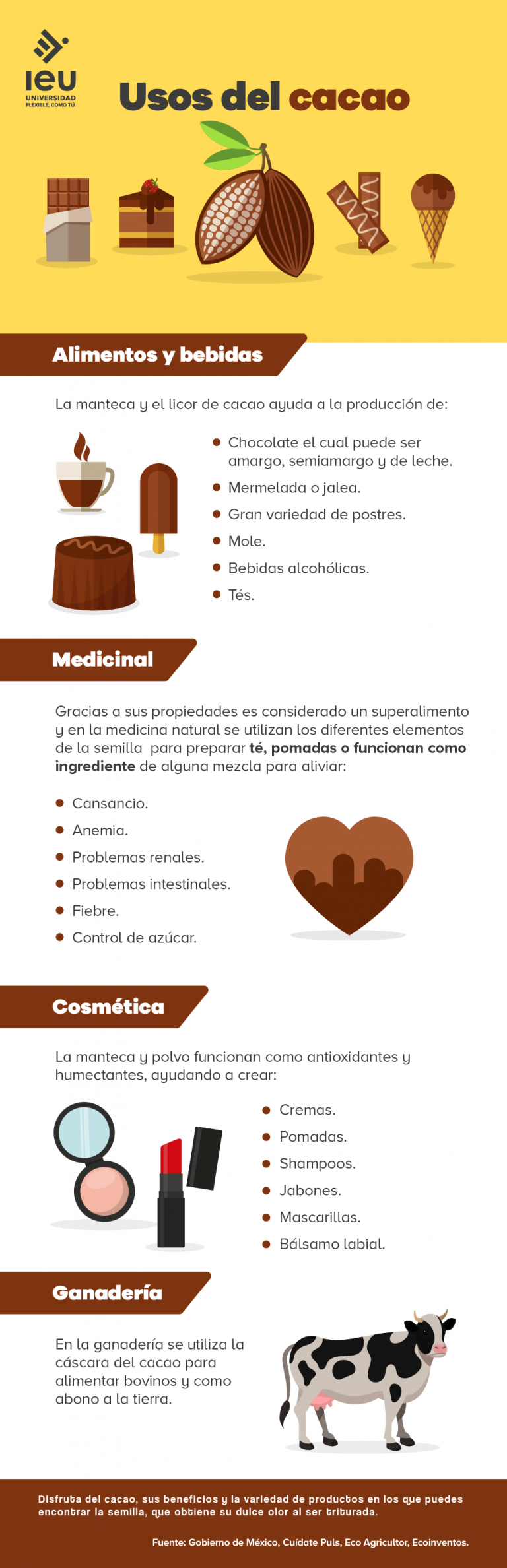 Cacao: usos y beneficios del alimento de los dioses