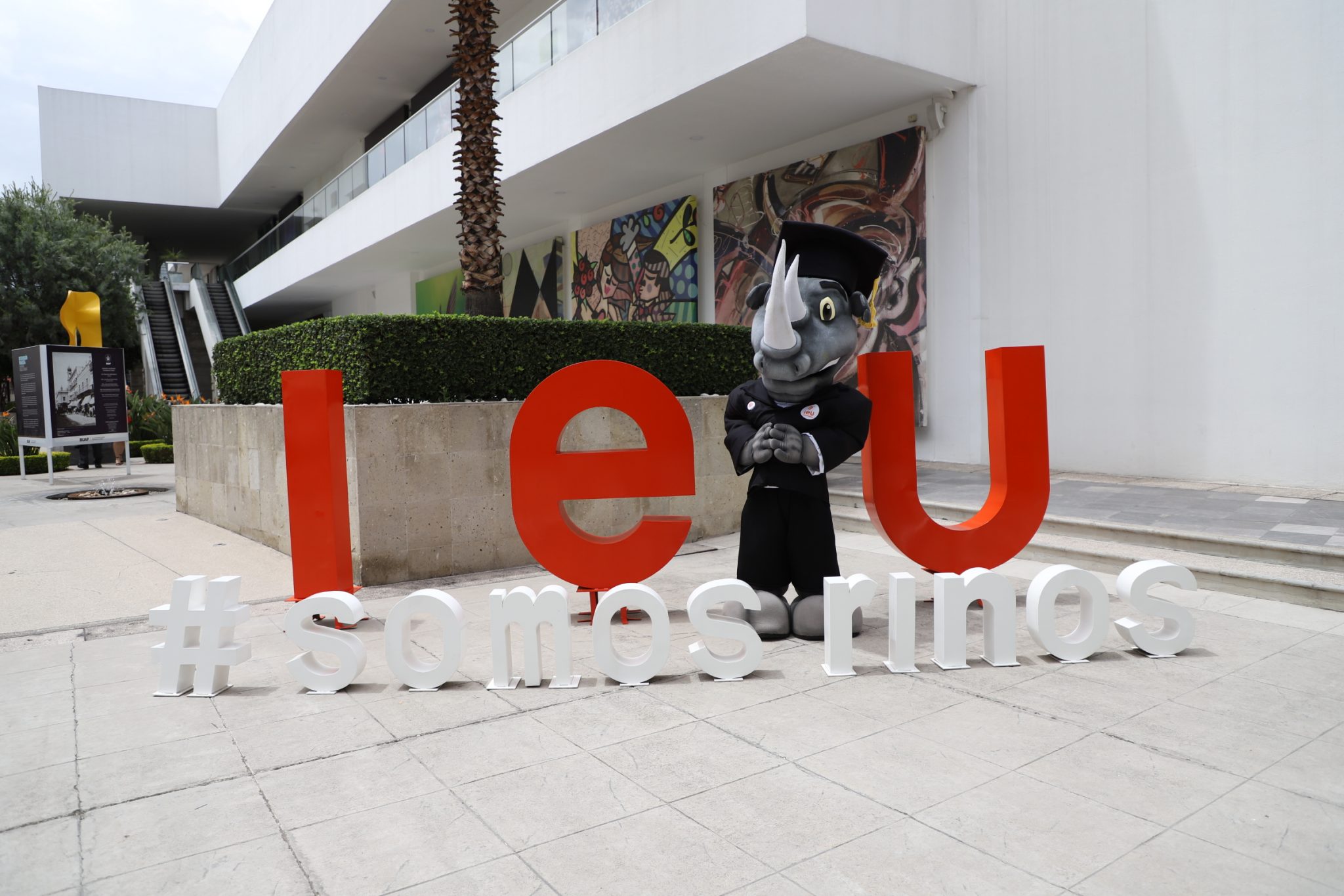 ¿Cómo ingresar a la plataforma online de Universidad IEU? - Universidad IEU